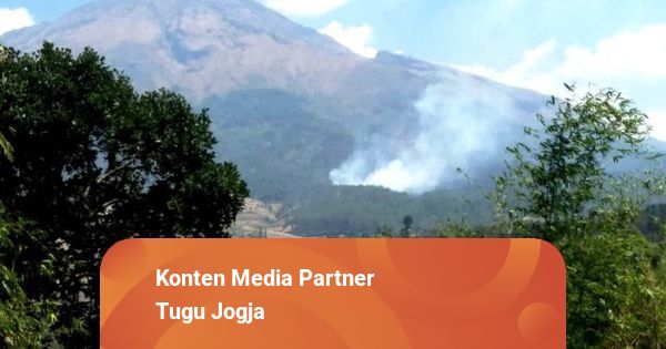 Hutan di Lereng Gunung Sumbing Kembali Terbakar | kumparan.com